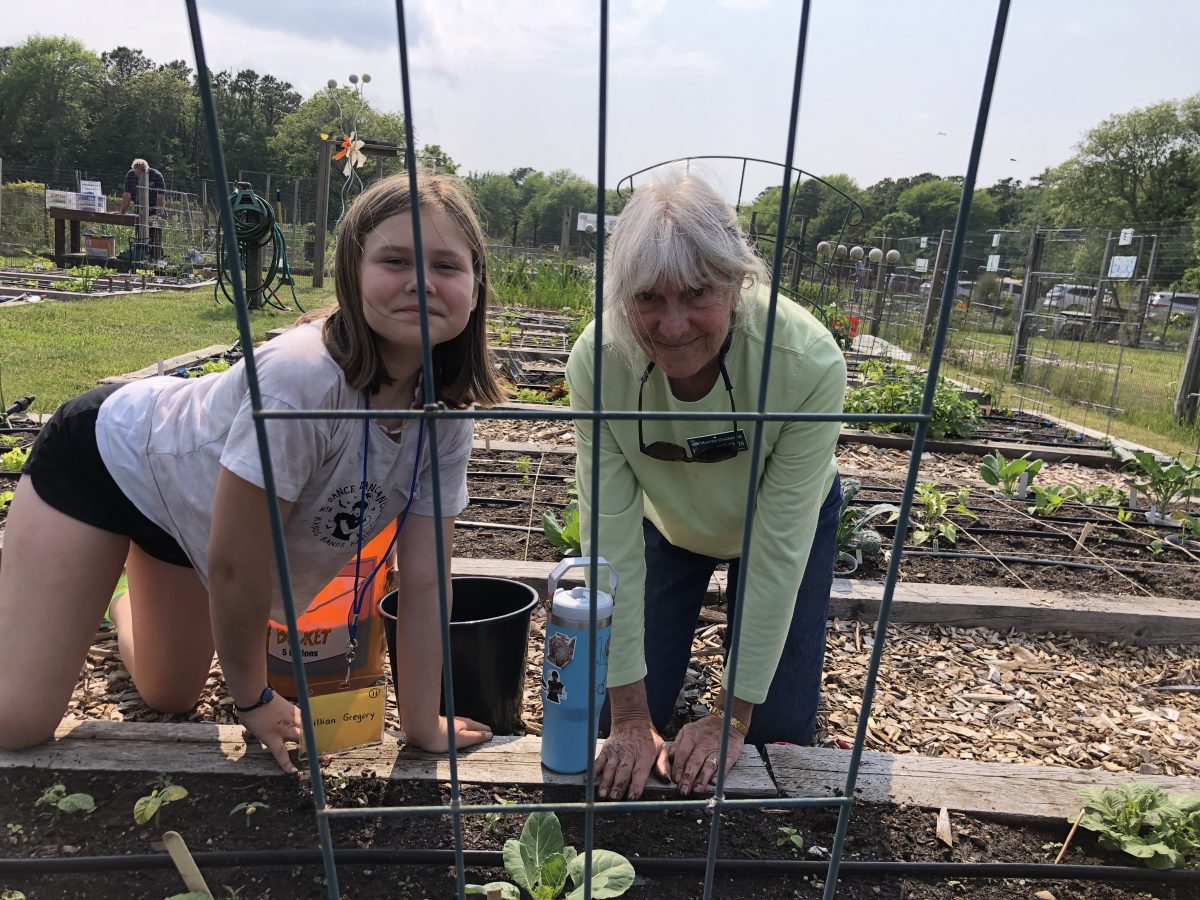 Children's Garden - Master Gardeners Association